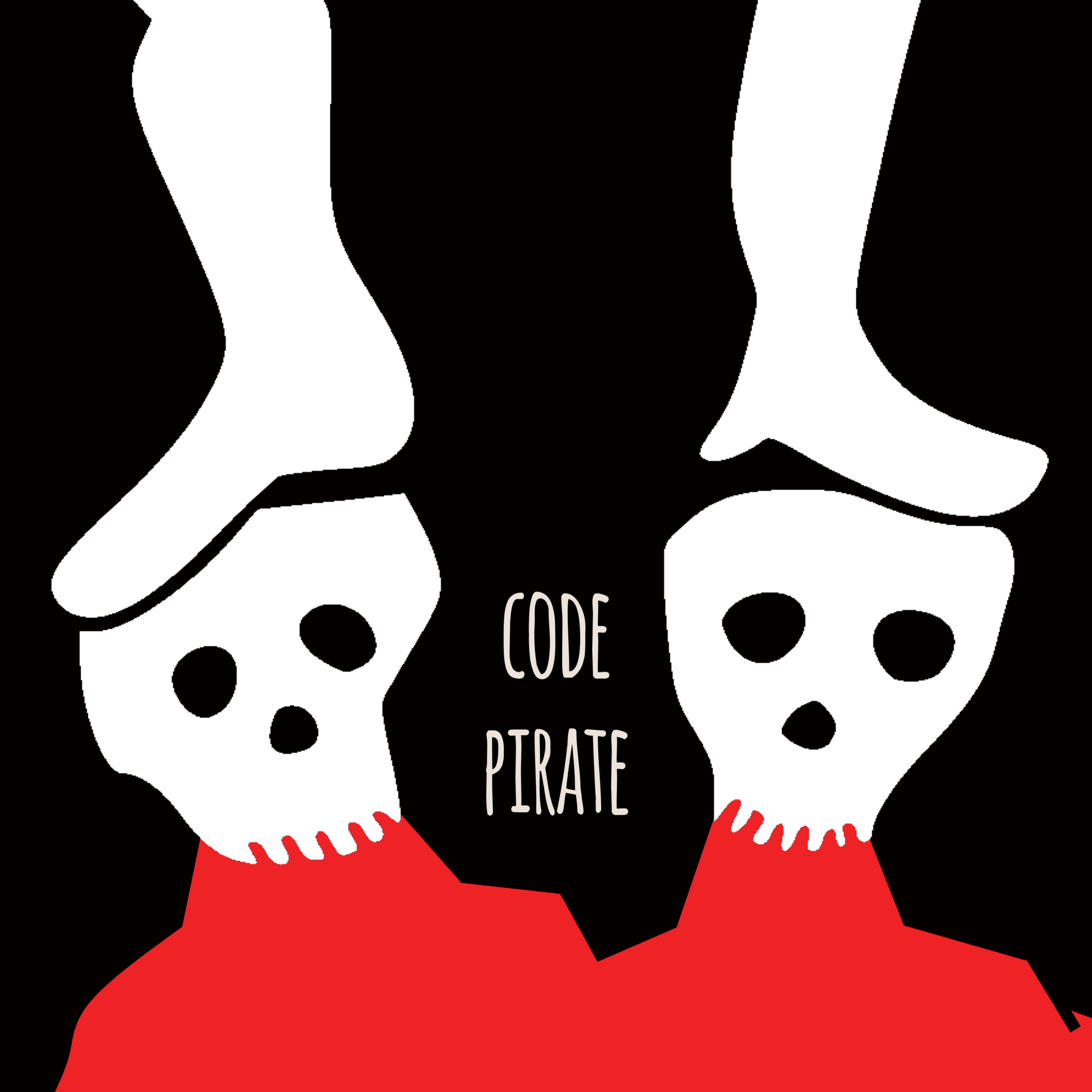 Code Pirate | Pirates du Clain